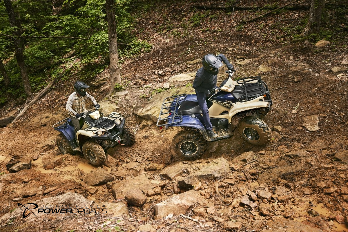 2024 Yamaha KODIAK 700 EPS SE - Central Florida PowerSports