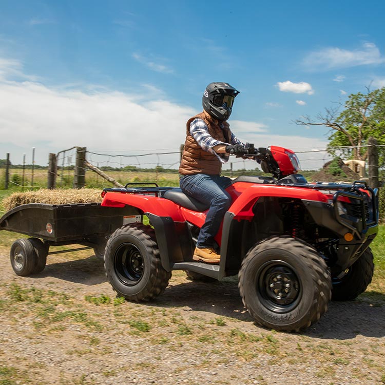 Foreman 4 Wheeler